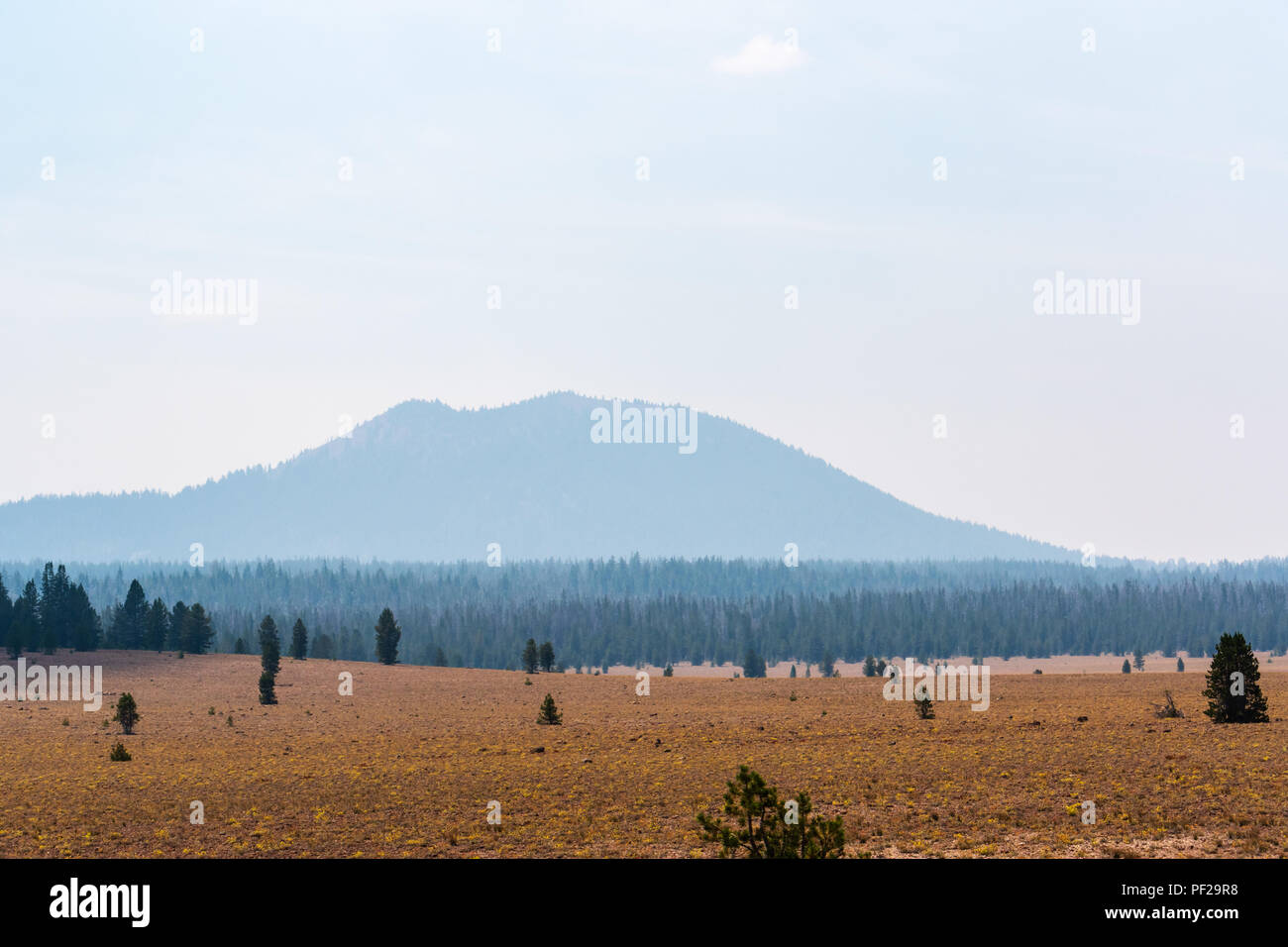 Fog hill trees hi-res stock photography and images - Alamy