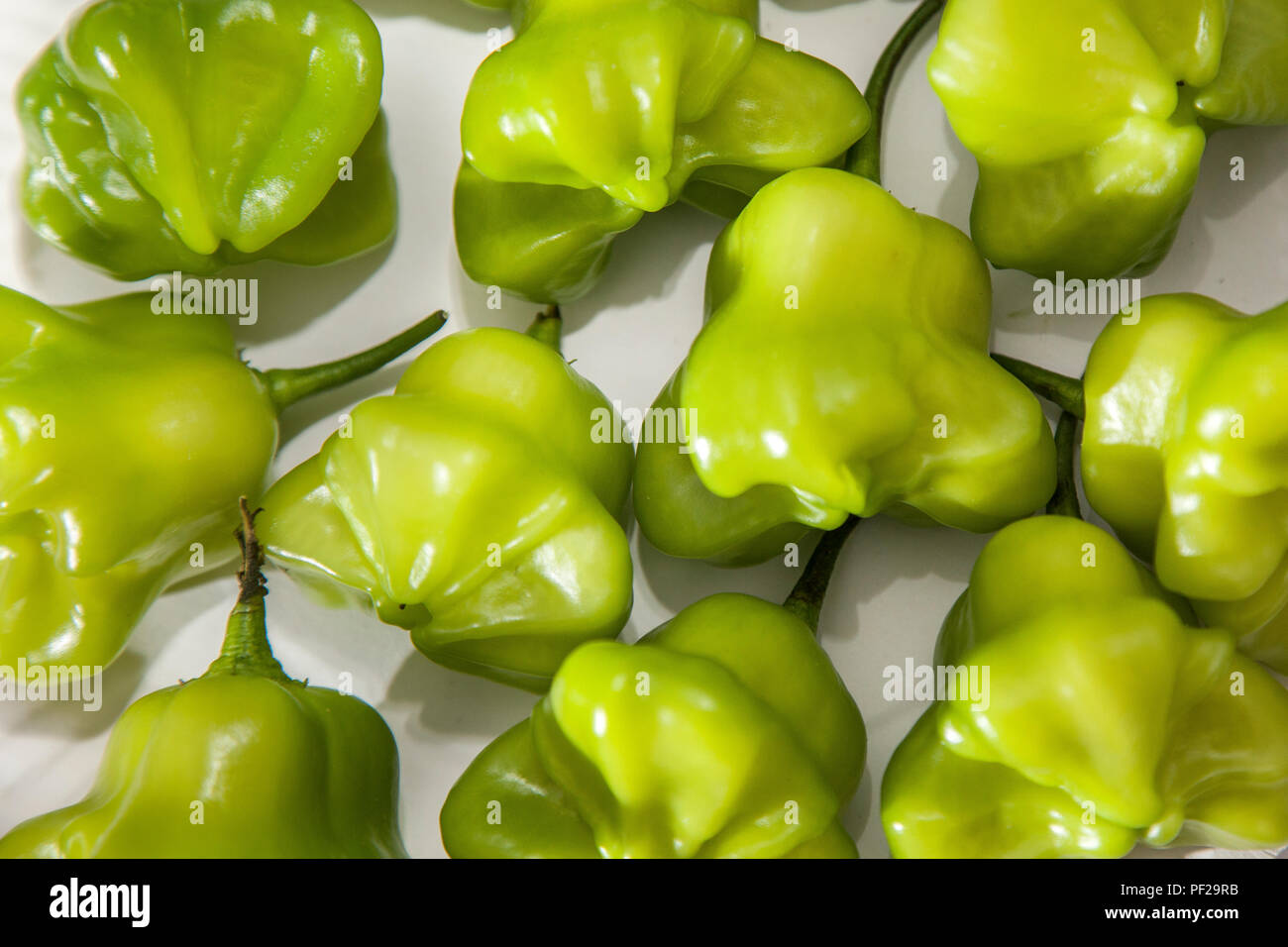 Dinner to the friars hi-res stock photography and images - Alamy