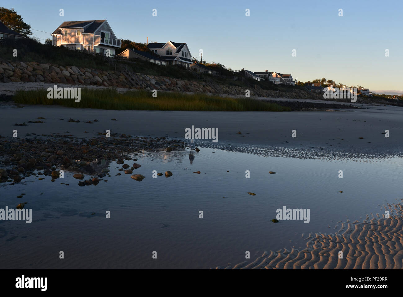 pretty landscape with many cape cod homes with a ocean view Stock Photo ...