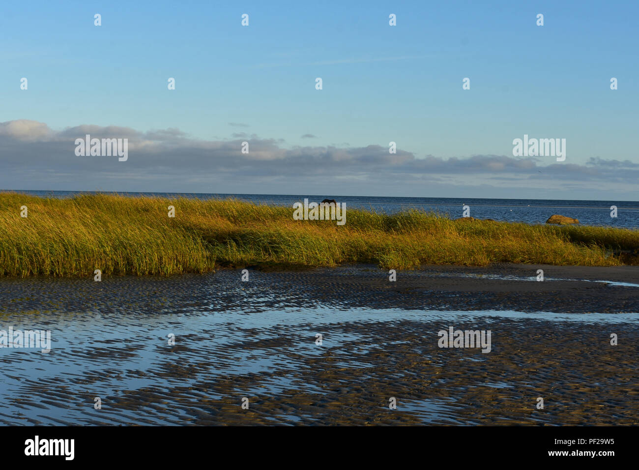 Breathtaking view of the shoreline with the ocean Stock Photo - Alamy