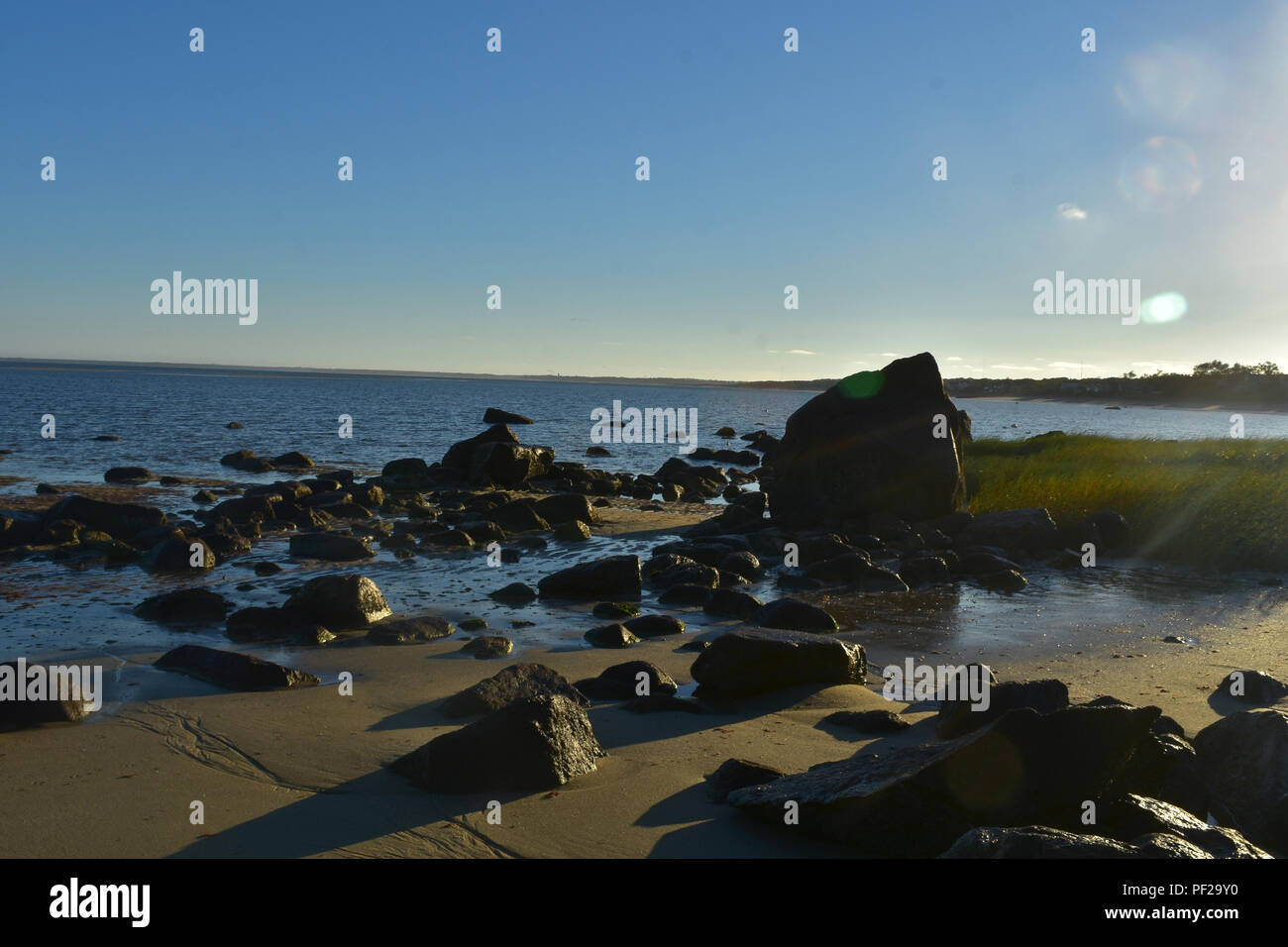 Pretty landscape on the shores of cape cod Stock Photo - Alamy