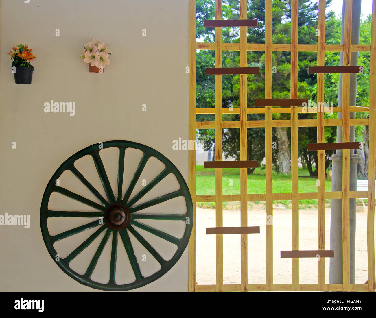 Cartwheel flowers hi-res stock photography and images - Alamy