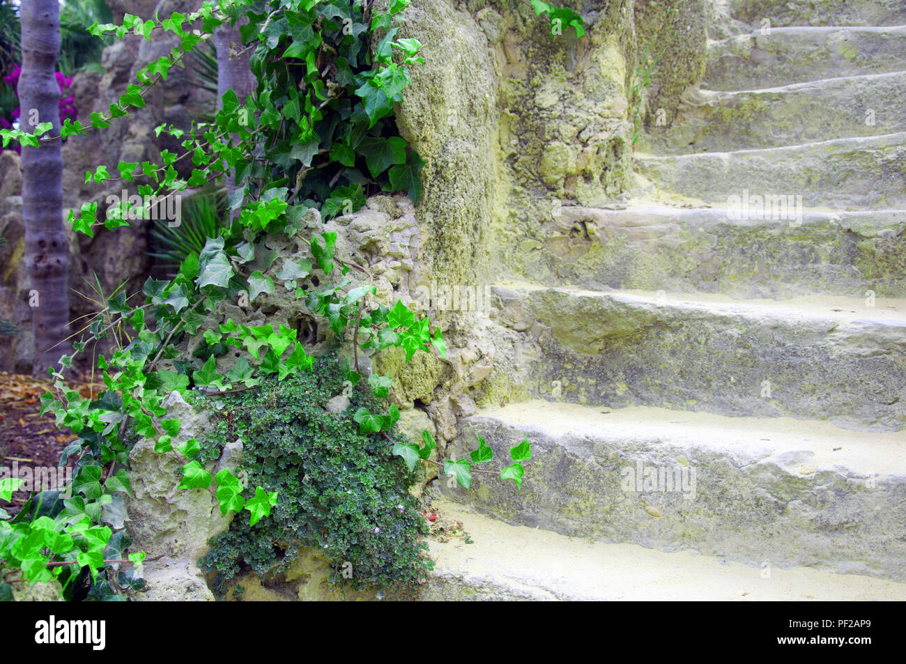 Beautiful view stairs on hi-res stock photography and images - Alamy