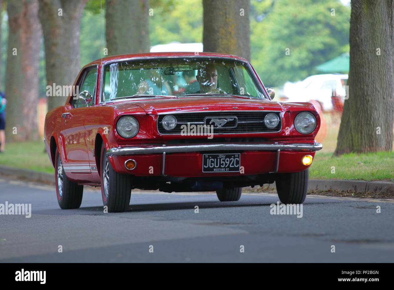 1954 ford mustang hi-res stock photography and images - Alamy