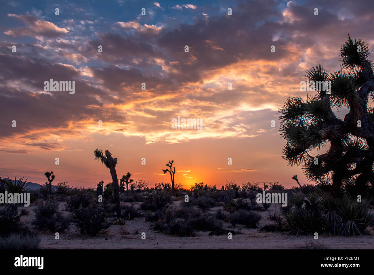 Pink sunset desert hi-res stock photography and images - Alamy
