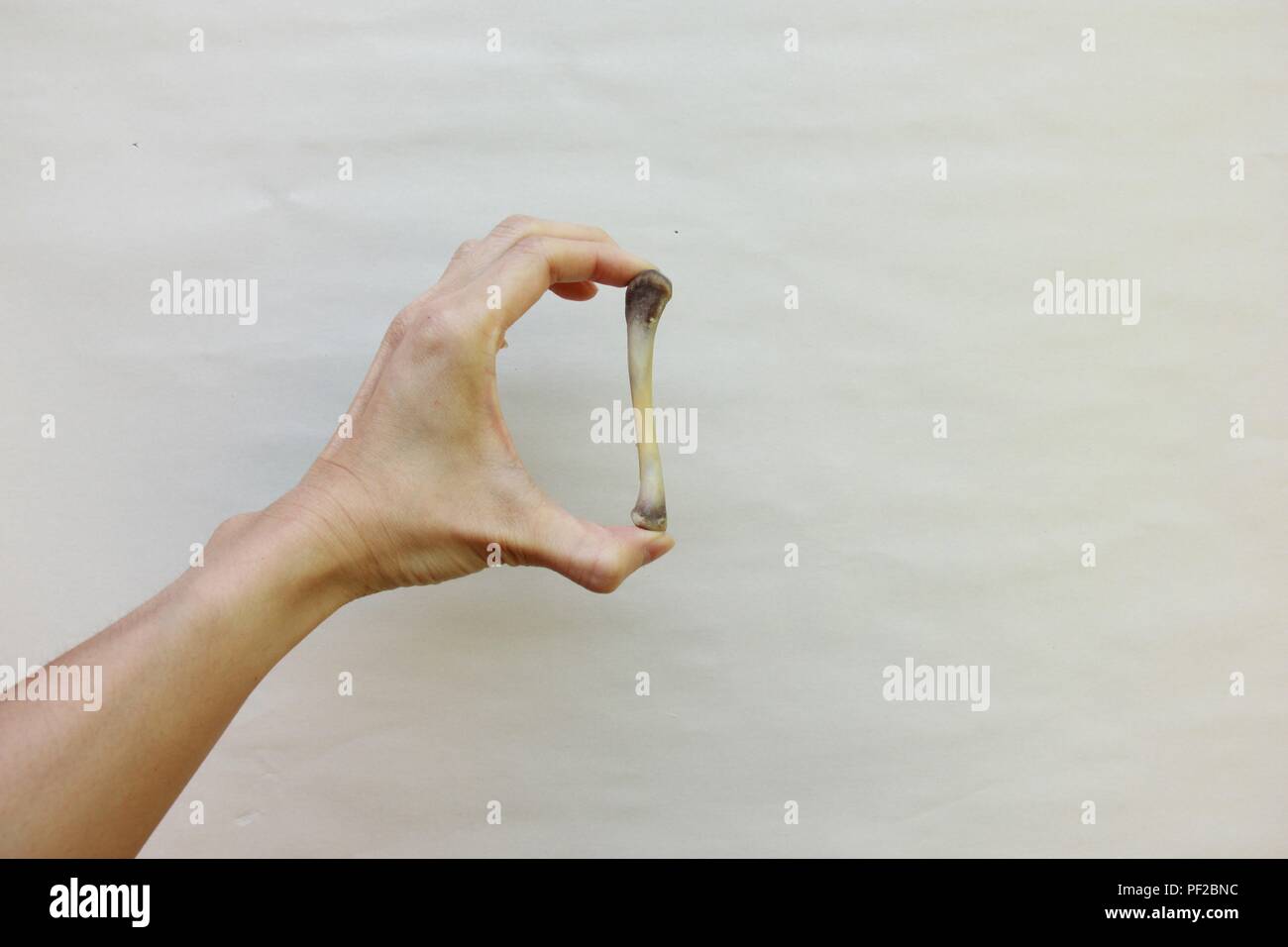 bone acid experiment in orange juice stayed strong Stock Photo - Alamy