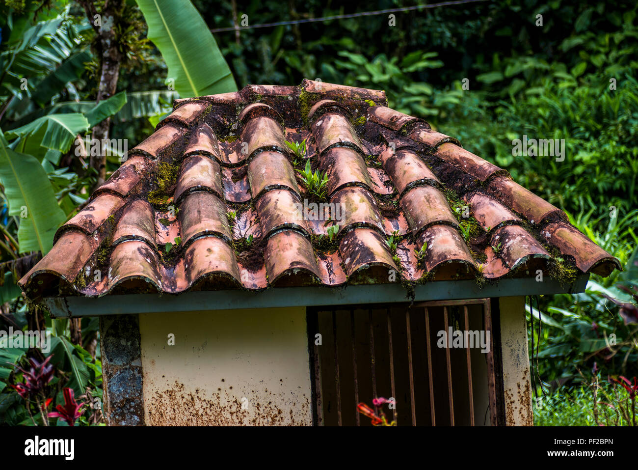 Abandoned hut hi-res stock photography and images - Alamy