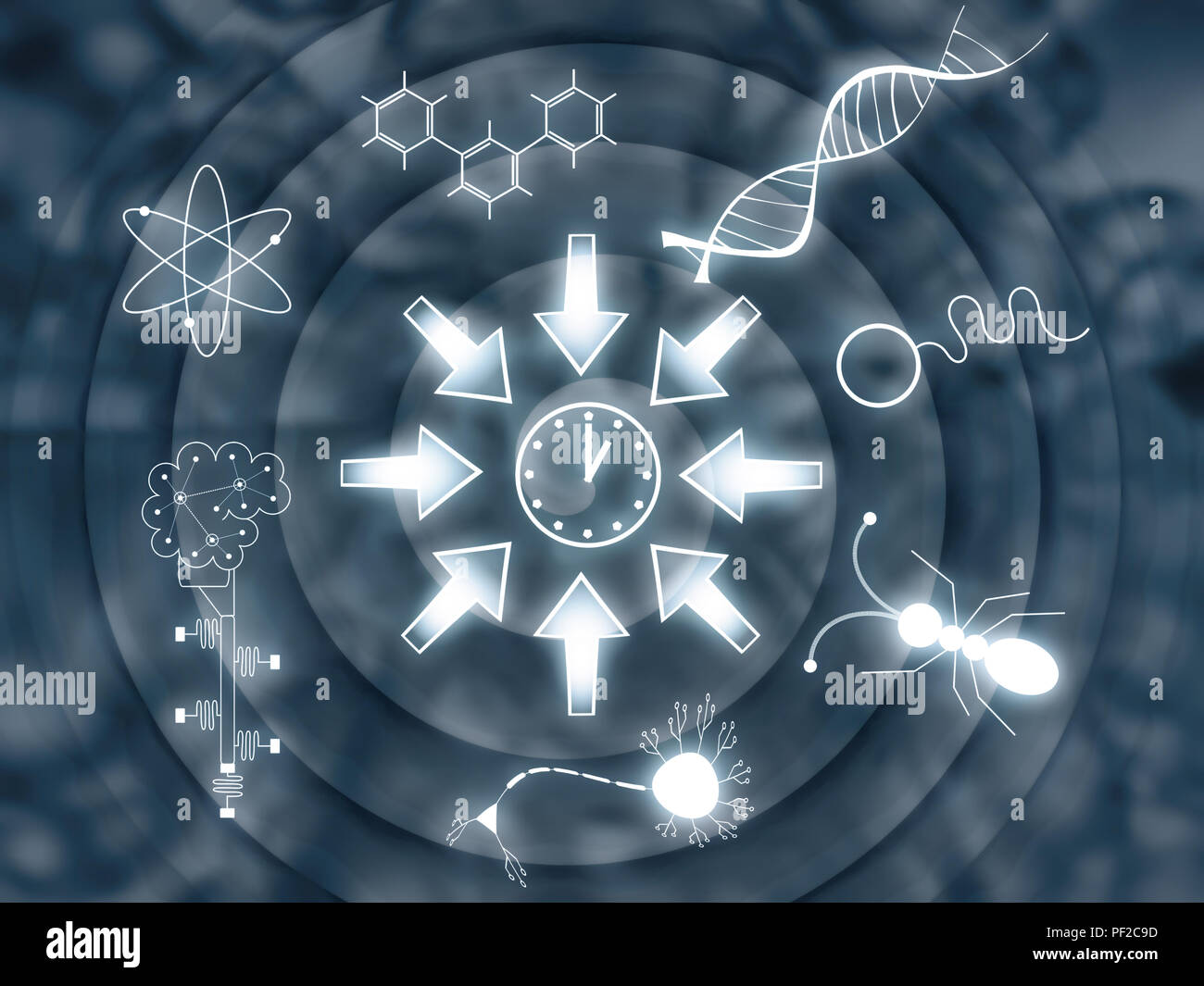 Time Evolution High Resolution Stock Photography and Images - Alamy