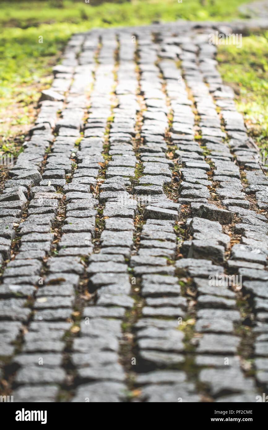 Cobblestone street in an old Europe city. Close up Stock Photo - Alamy