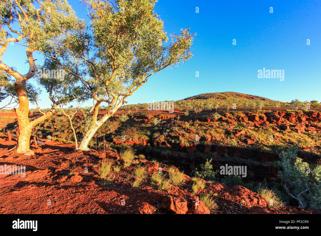 Sun rising over red rock and green outback landscape Stock Photo - Alamy