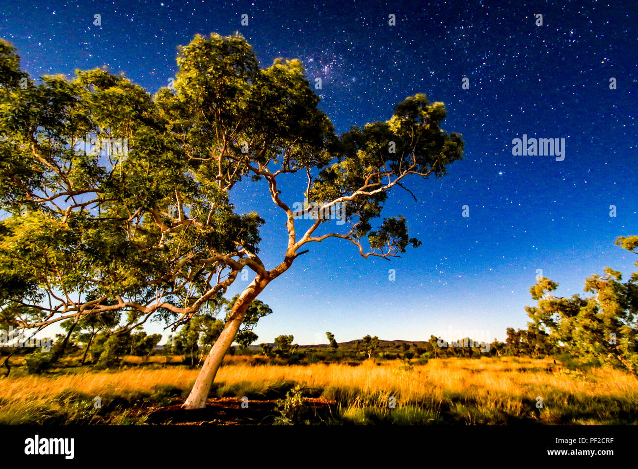 Starry night icon green hi-res stock photography and images - Alamy