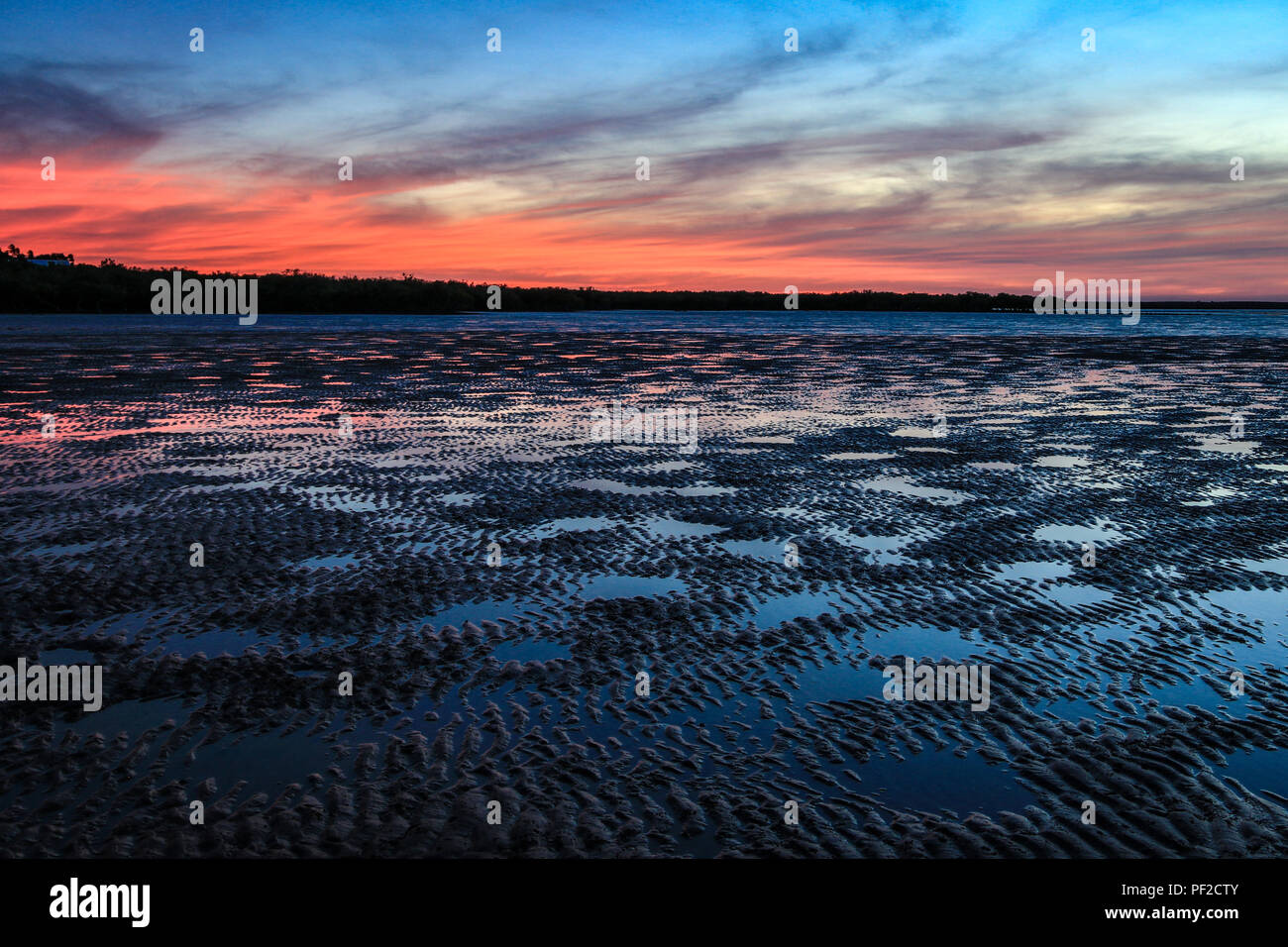 Sun rising over tidal ocean mudflats Stock Photo - Alamy
