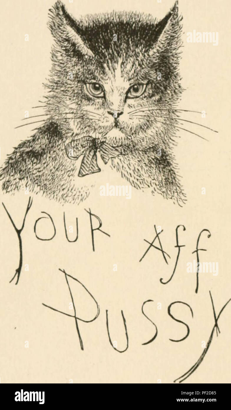 "Letters from a cat : published by her mistress for the benefit of all ...