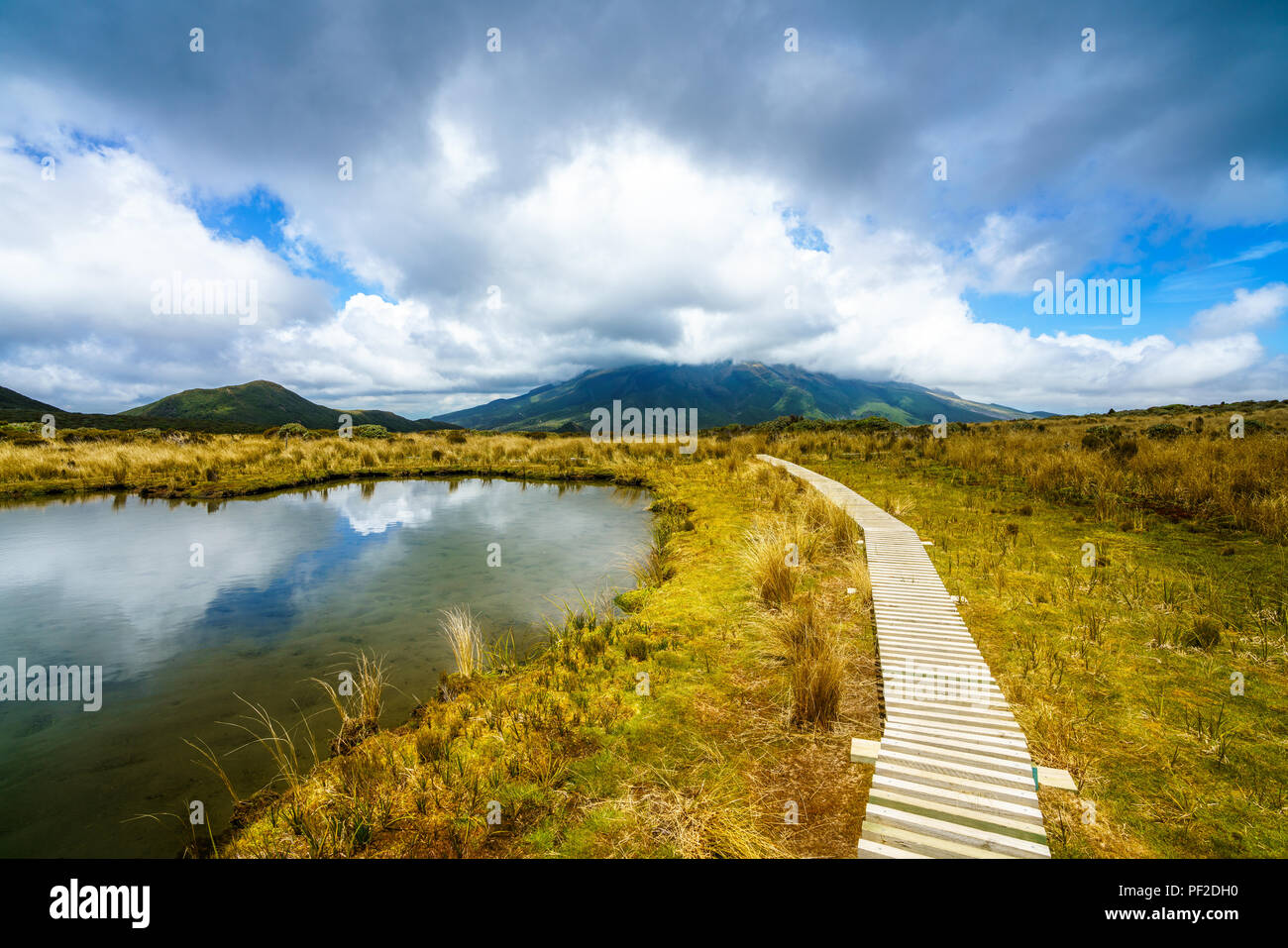 hiking the mangorei track,mount egmont national park, mount taranaki ...
