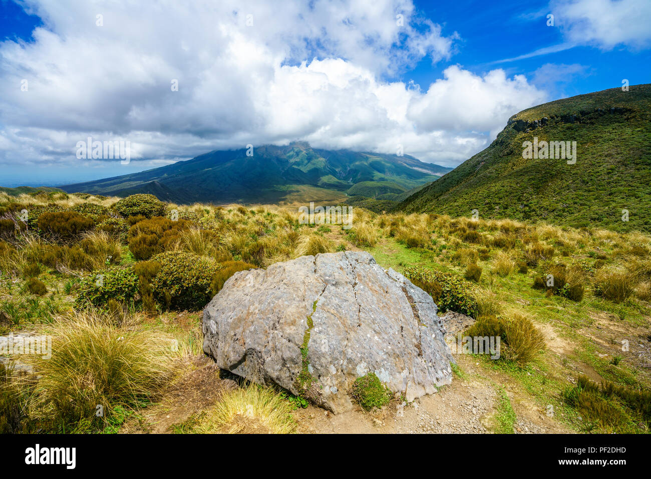 hiking the mangorei track,mount egmont national park, mount taranaki ...