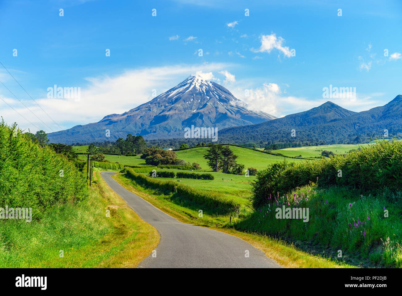 on the road, lush grass, farms and cows infront of cone volcano mount ...