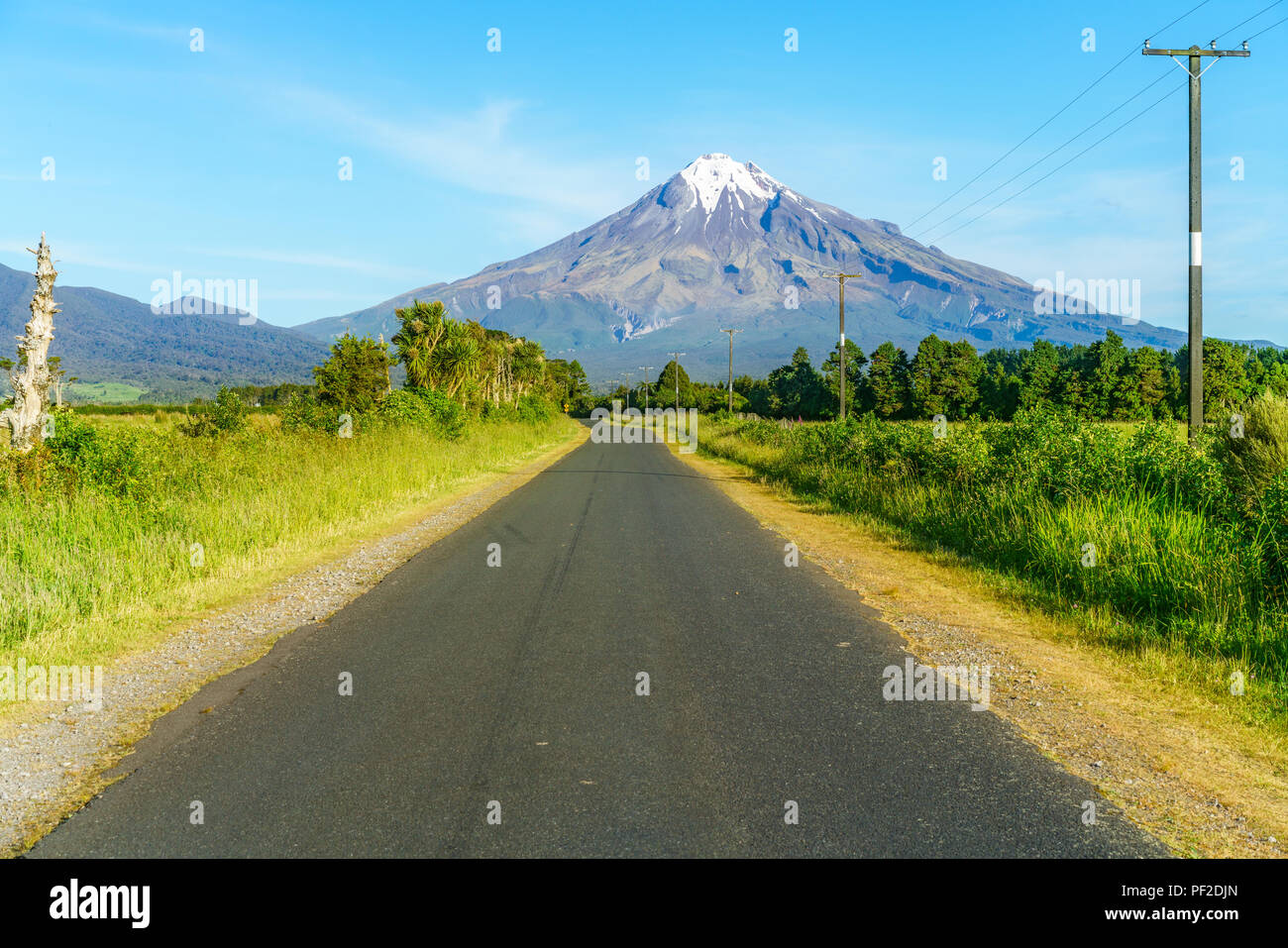 on the road, lush grass, farms and cows infront of cone volcano mount ...