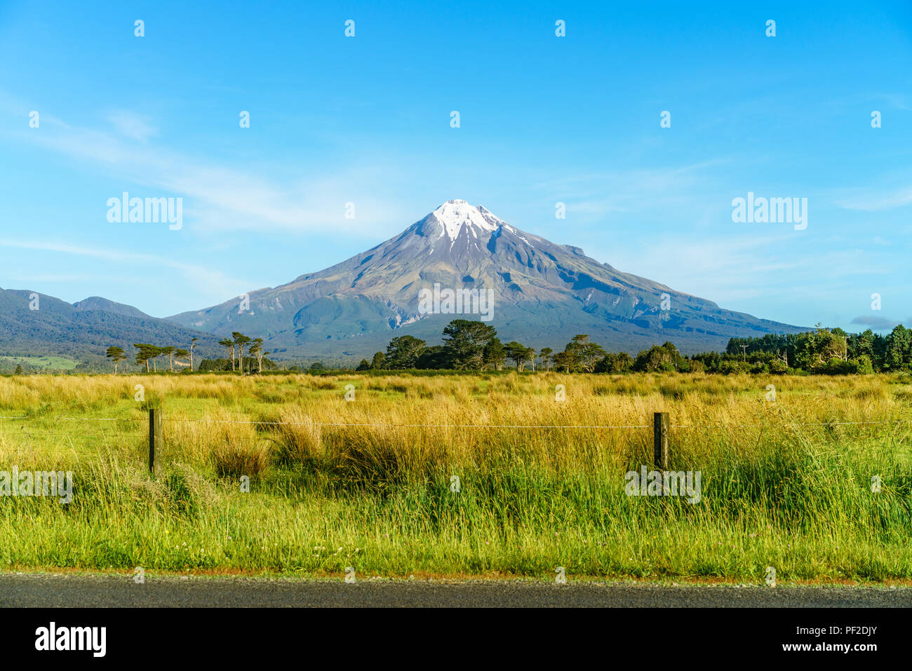on the road, lush grass, farms and cows infront of cone volcano mount ...