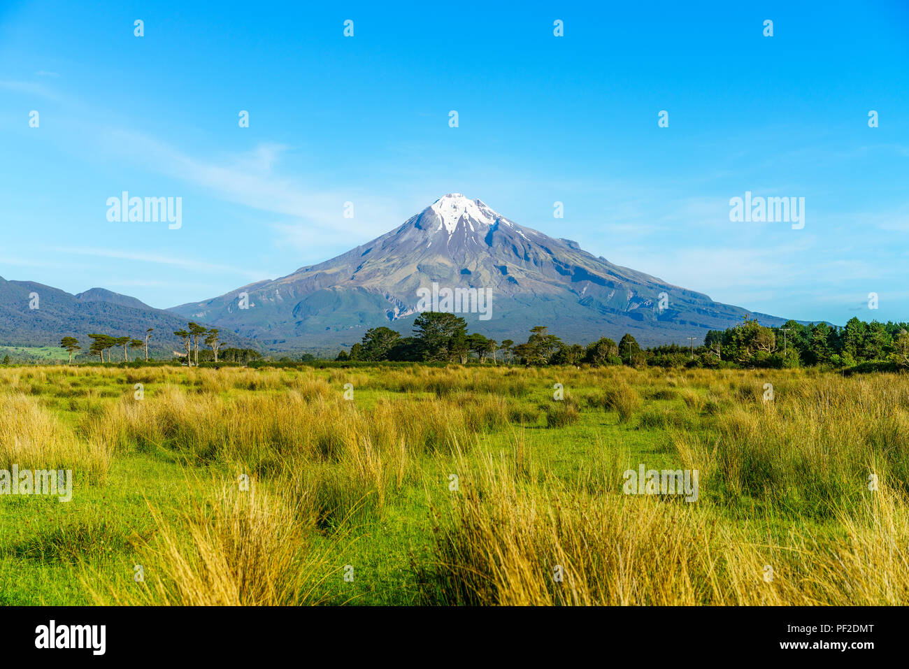lush grass,trees and the cone volcano mount taranaki, new zealand Stock ...