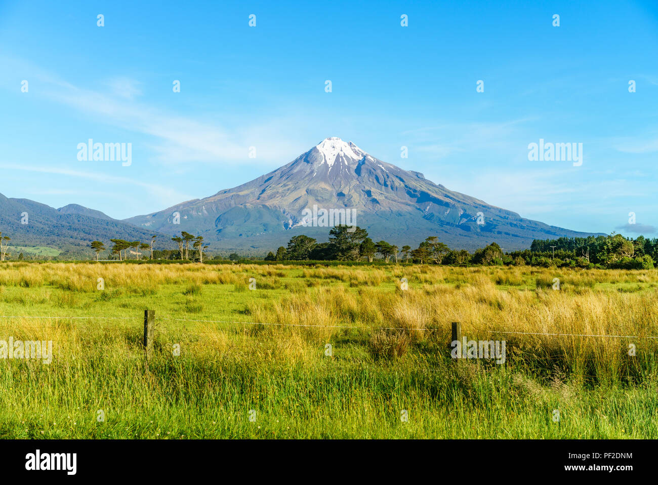 lush grass,trees and the cone volcano mount taranaki, new zealand Stock ...