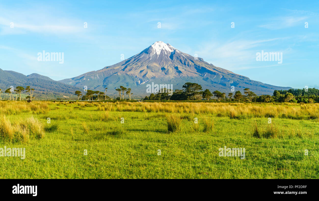 lush grass,trees and the cone volcano mount taranaki, new zealand Stock ...