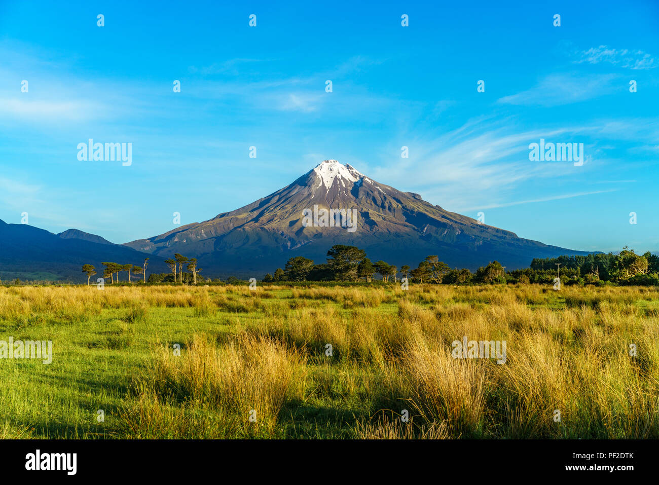 lush grass,trees and the cone volcano mount taranaki, new zealand Stock ...