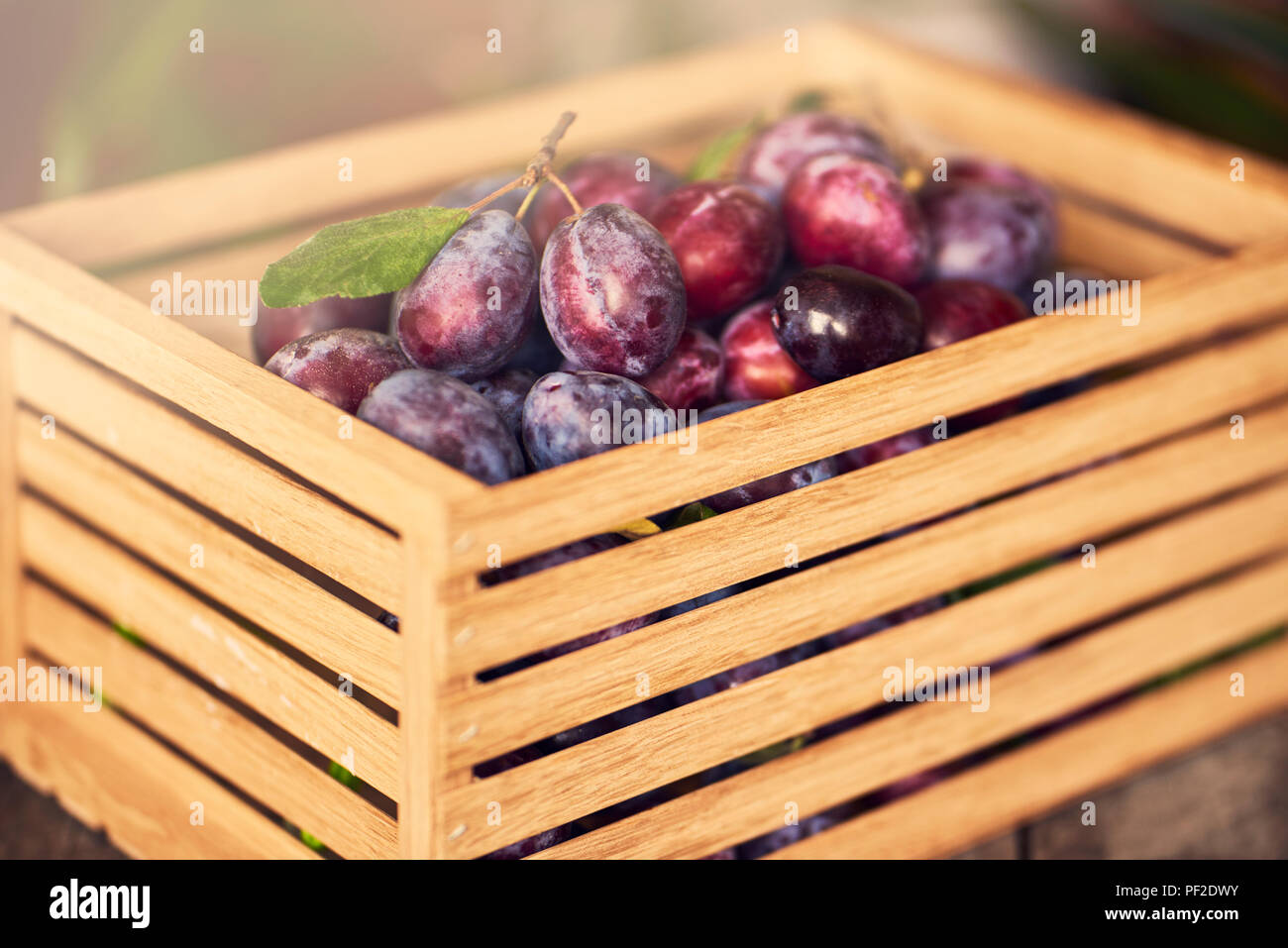 Fresh plums in wooden box Stock Photo - Alamy