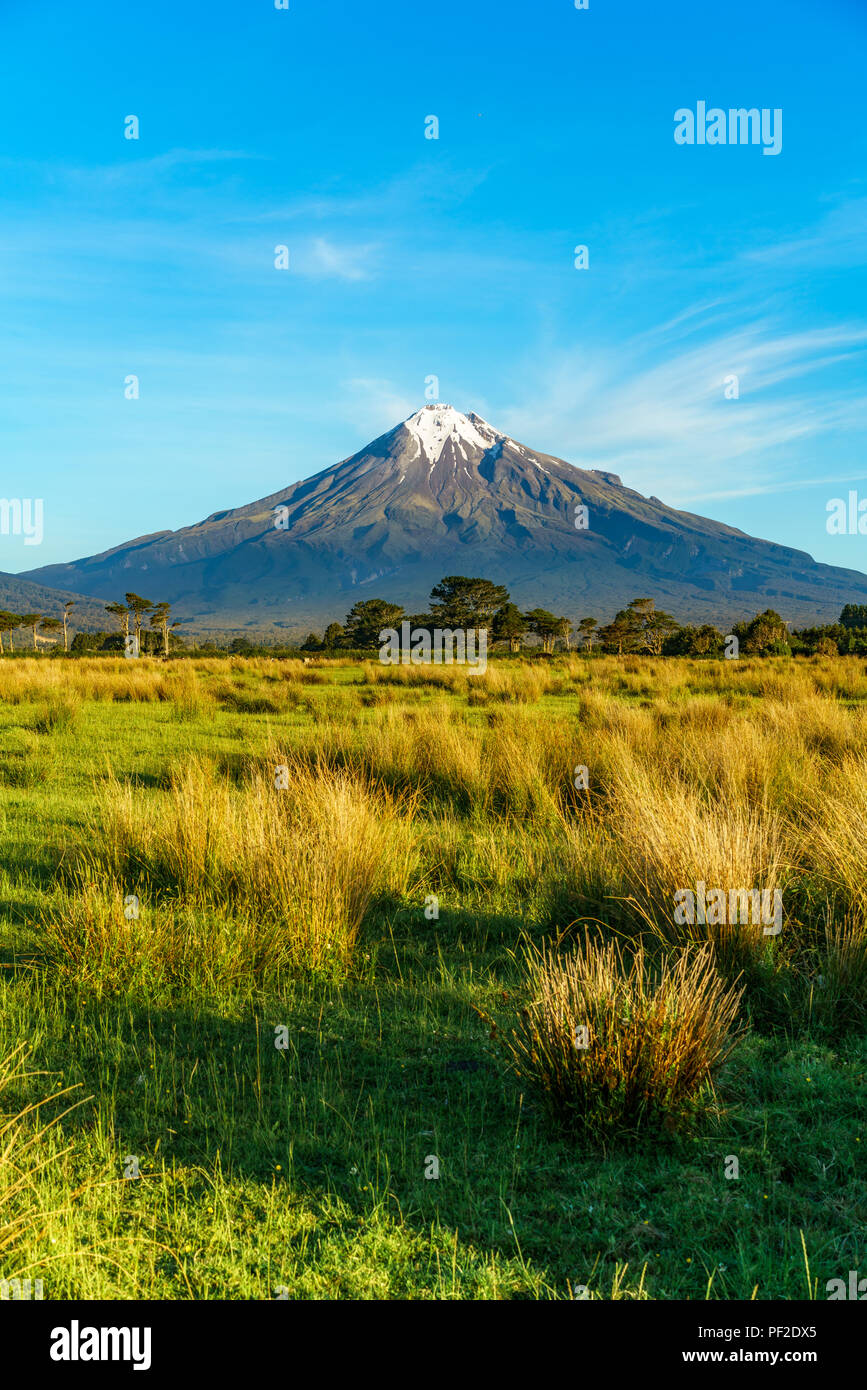 lush grass,trees and the cone volcano mount taranaki, new zealand Stock ...
