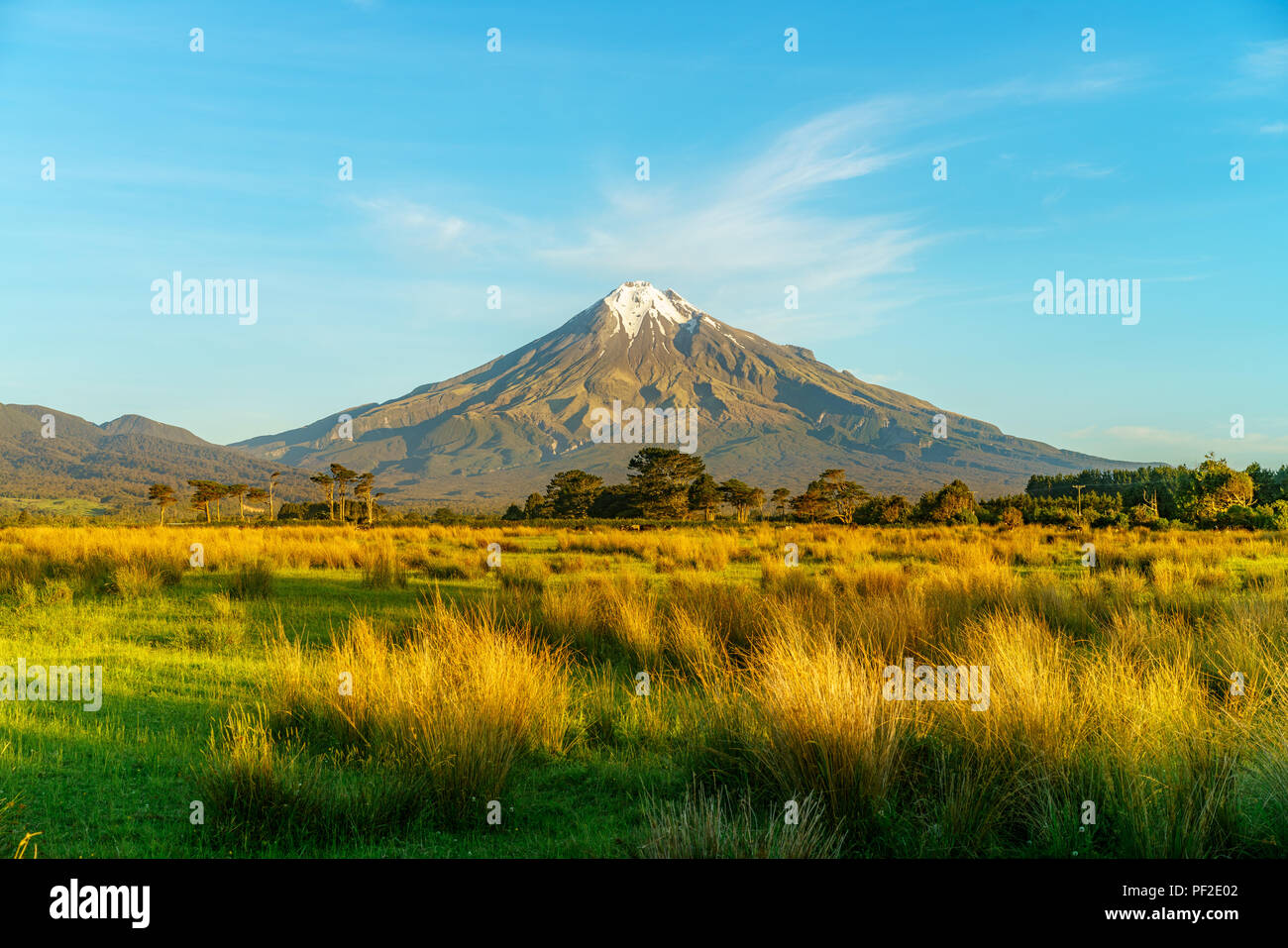 lush grass,trees and the cone volcano mount taranaki, new zealand Stock ...