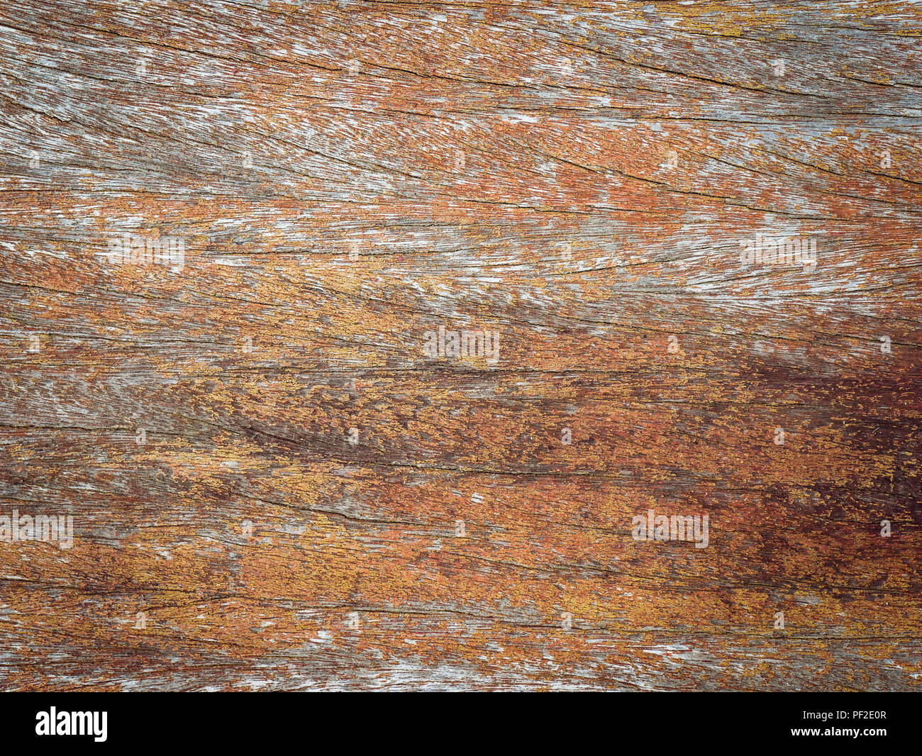 grunge wood Texture background for design Stock Photo - Alamy