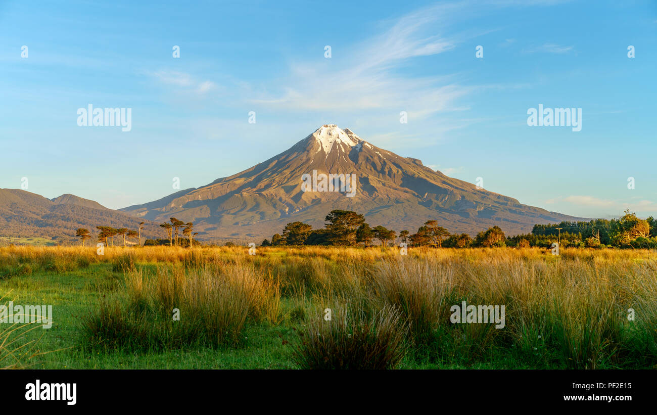 lush grass,trees and the cone volcano mount taranaki, new zealand Stock ...
