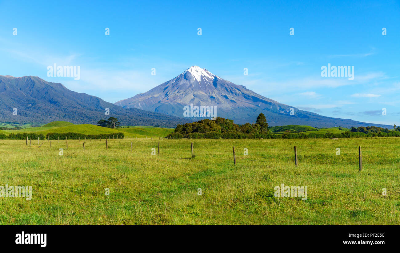 lush grass,trees and the cone volcano mount taranaki, new zealand Stock ...