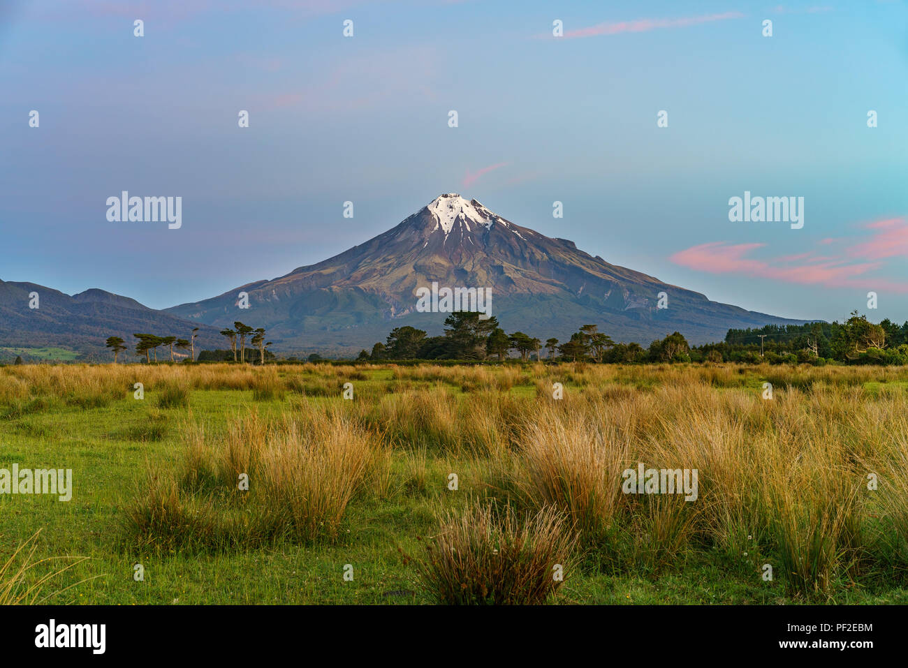lush grass,trees and the cone volcano mount taranaki, new zealand Stock ...