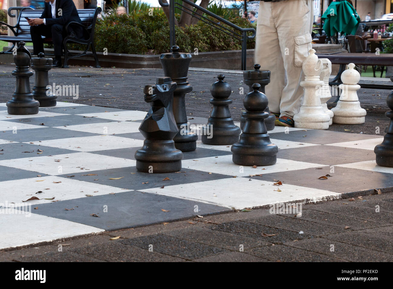 Hyde park sydney chess hi-res stock photography and images - Alamy