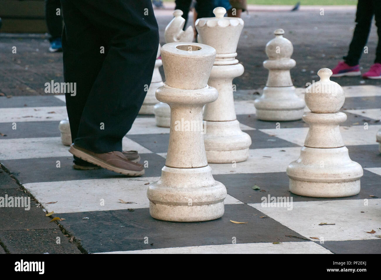Hyde park sydney chess hi-res stock photography and images - Alamy