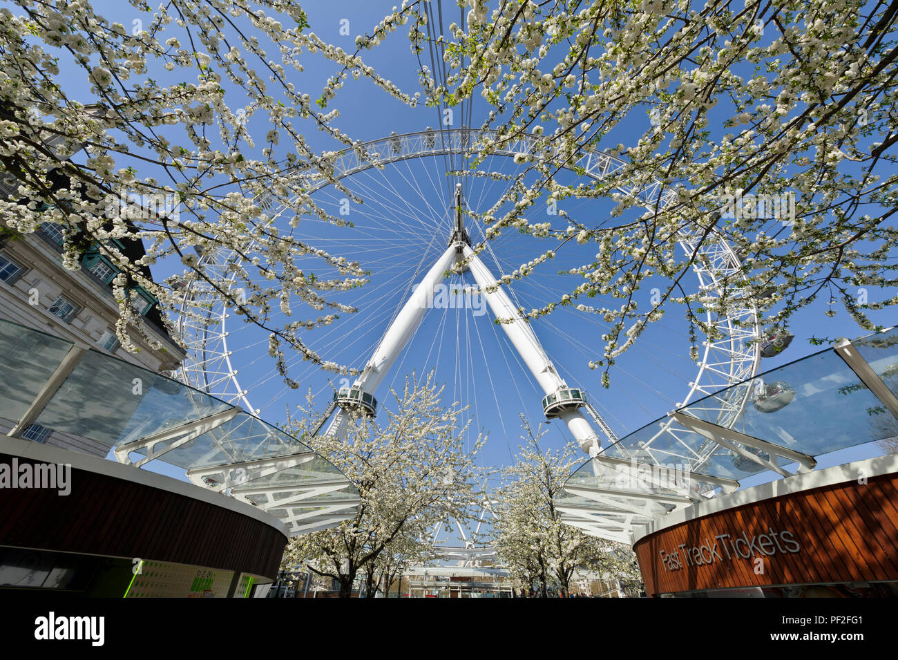 The London Eye ferris wheel, London, England, UK Stock Photo - Alamy