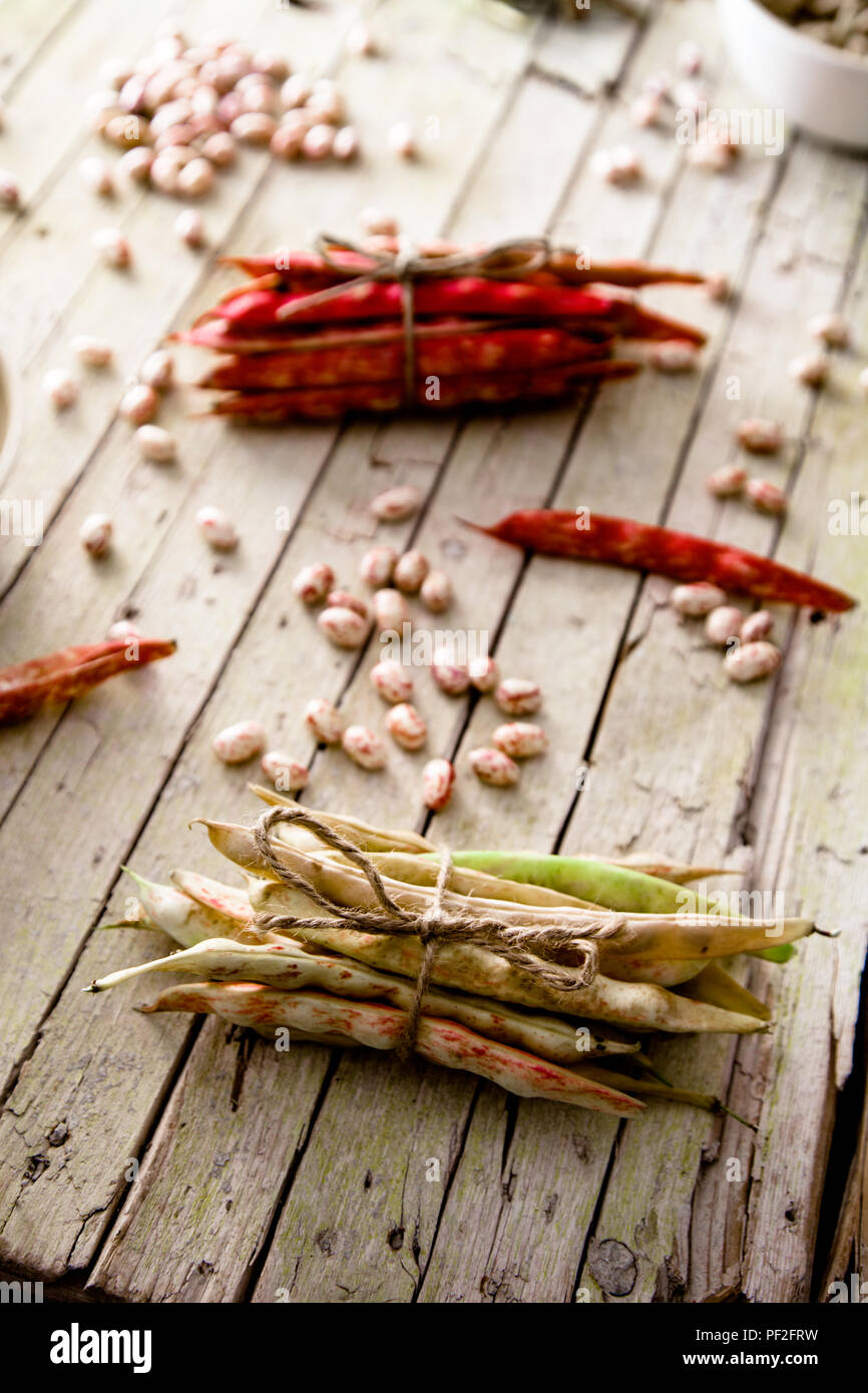 Healthy vegetarian food. Collection of beans. Freshly harvested beans ...