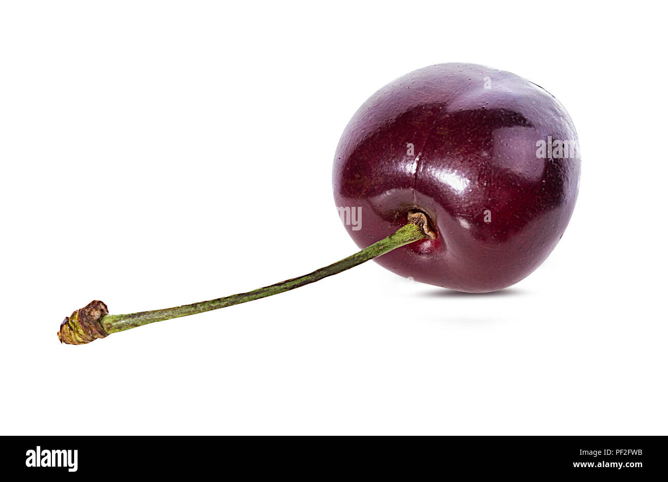 Cherry isolated on white background Stock Photo - Alamy