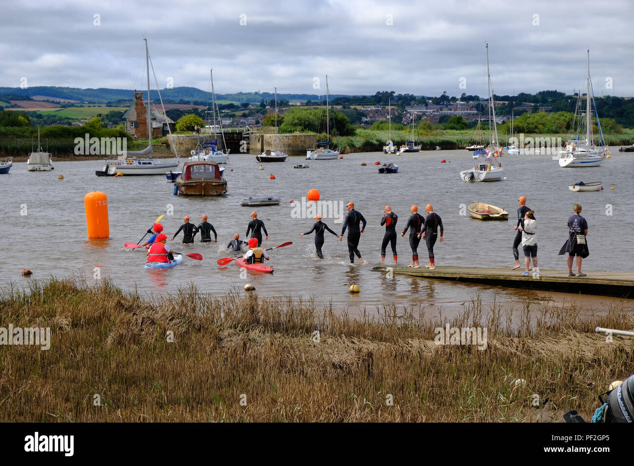 Topsham devon swim hi-res stock photography and images - Alamy