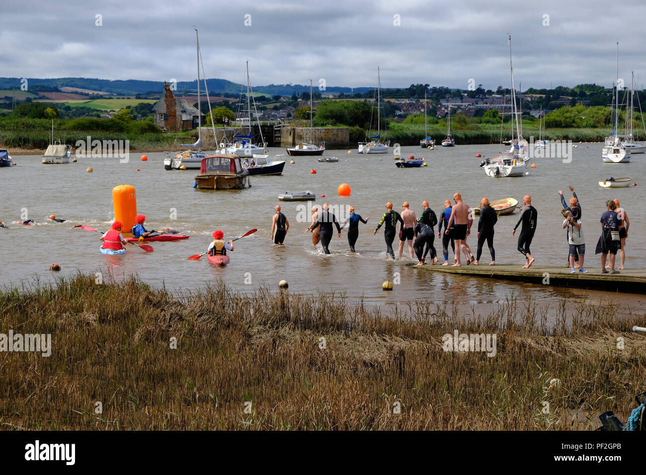 Topsham devon swim hi-res stock photography and images - Alamy