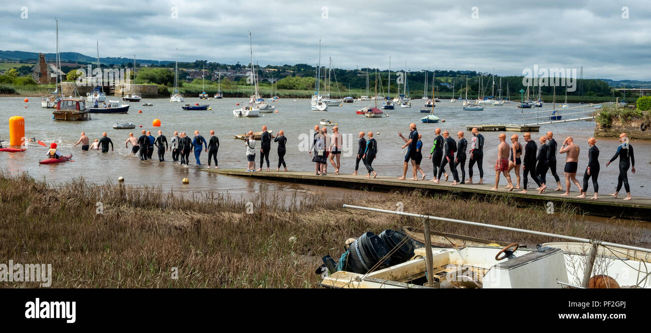 Topsham devon swim hi-res stock photography and images - Alamy