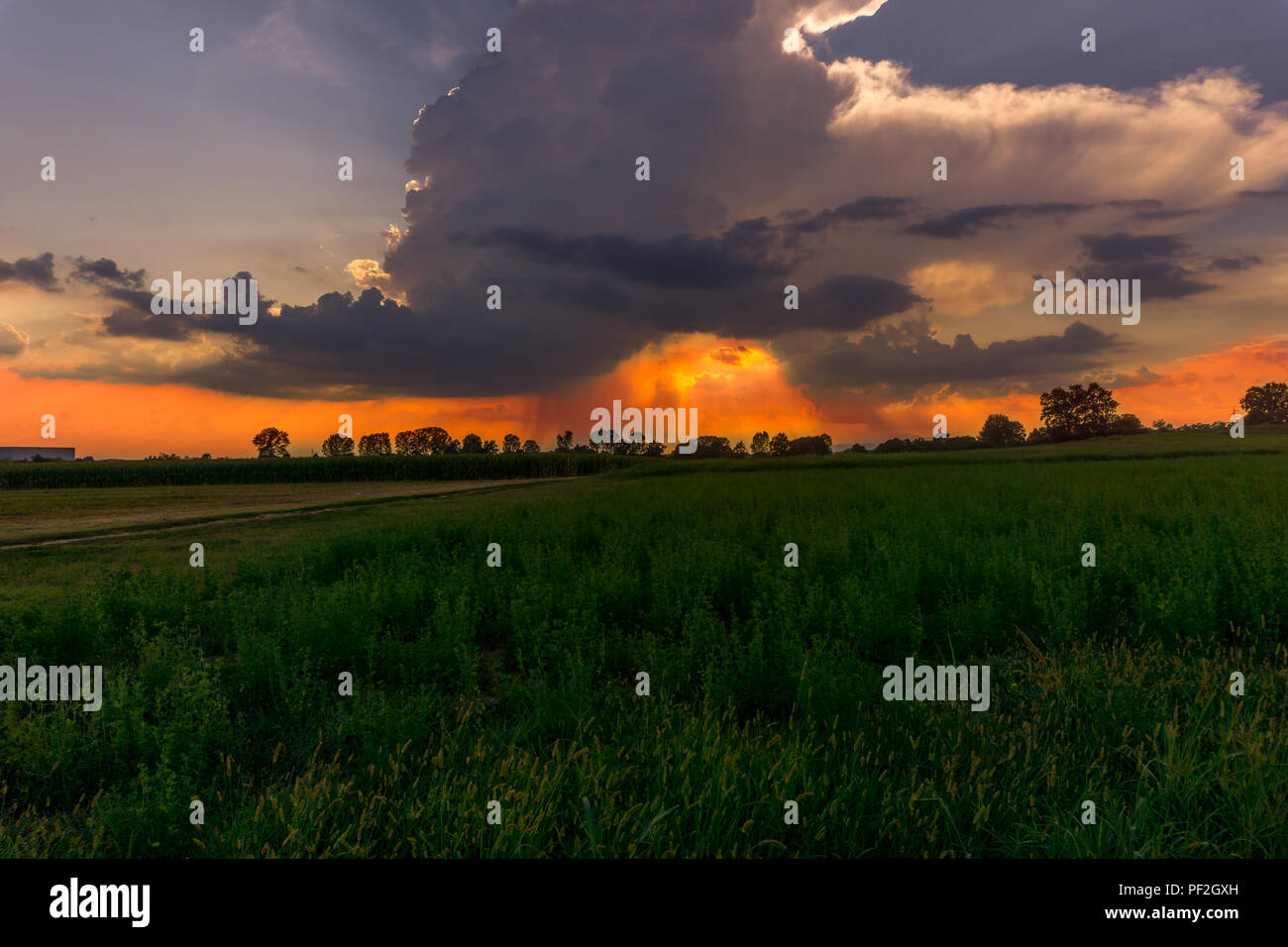 Sunlight scenic countryside plant color outdoor hi-res stock ...