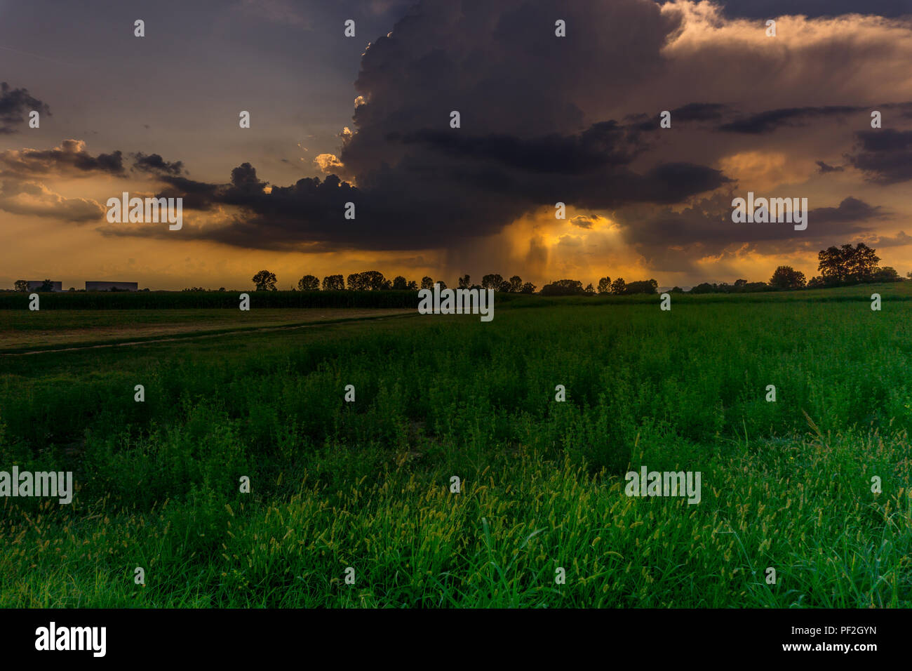 countryside panorama at sunset Stock Photo - Alamy