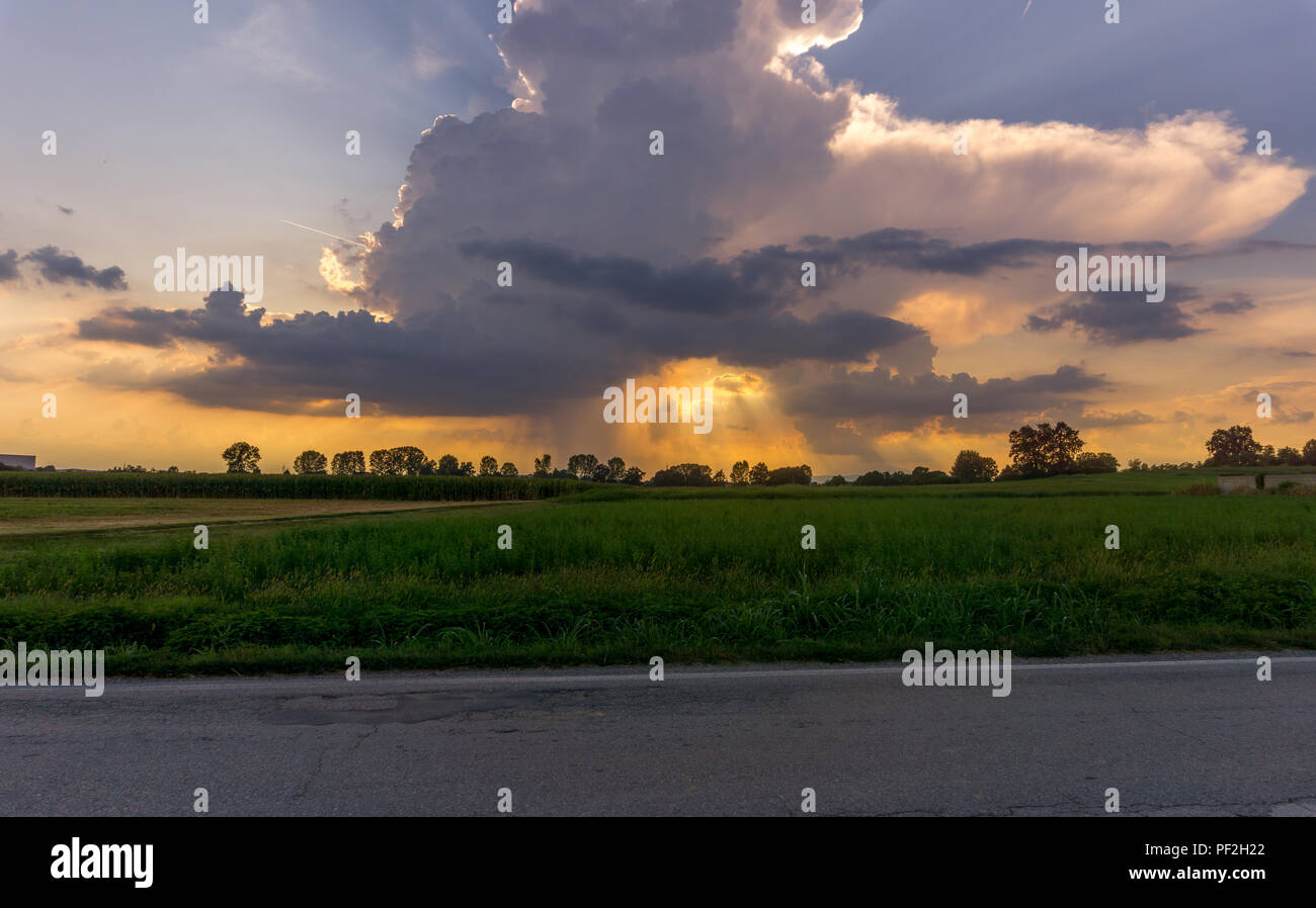 Sunlight scenic countryside plant color outdoor hi-res stock ...