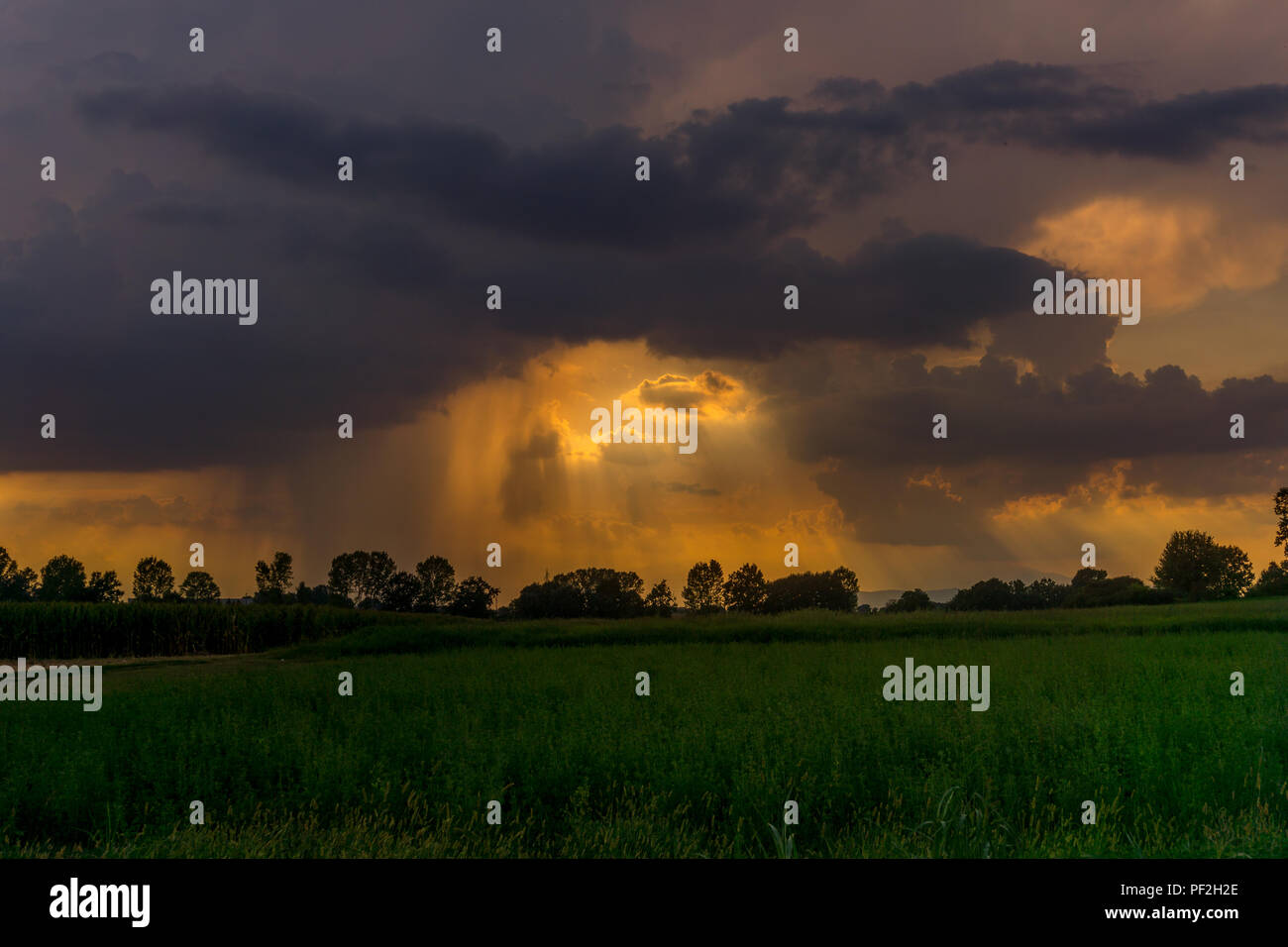 Sunlight scenic countryside plant color outdoor hi-res stock ...