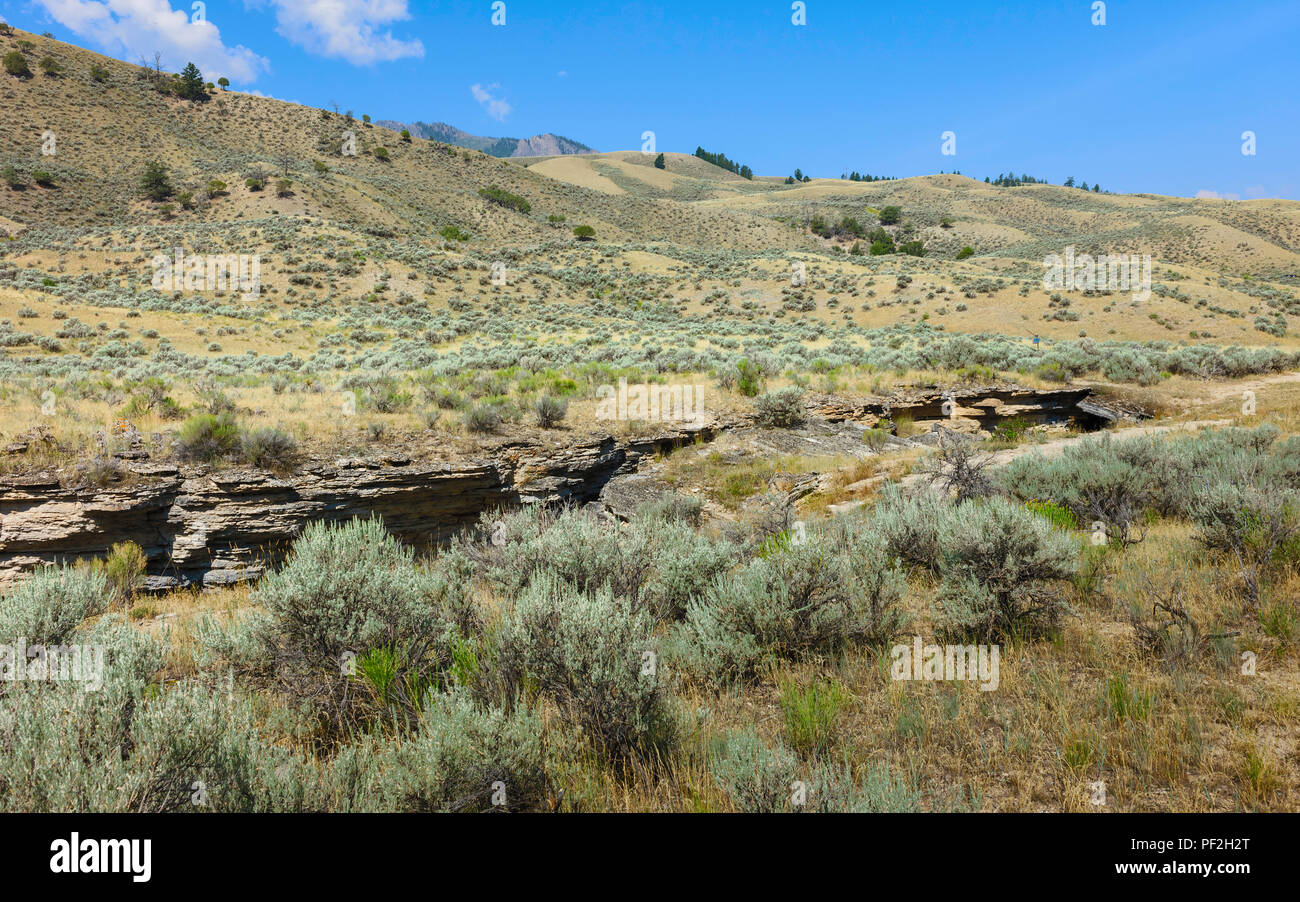 The arid prairie covered in sagebrush and rocks with Rocky foothills as ...