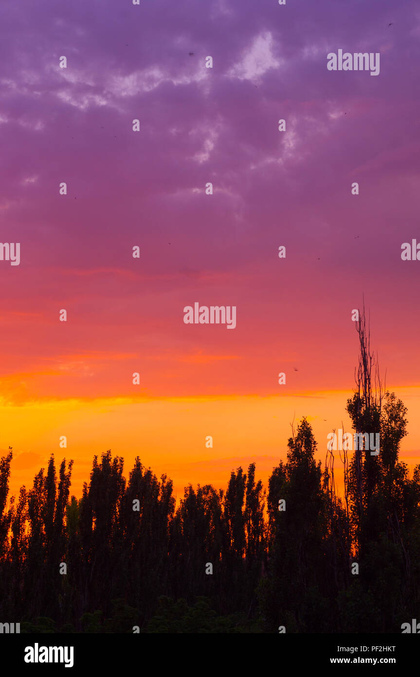 Landscape with dramatic light - beautiful golden sunset with saturated ...