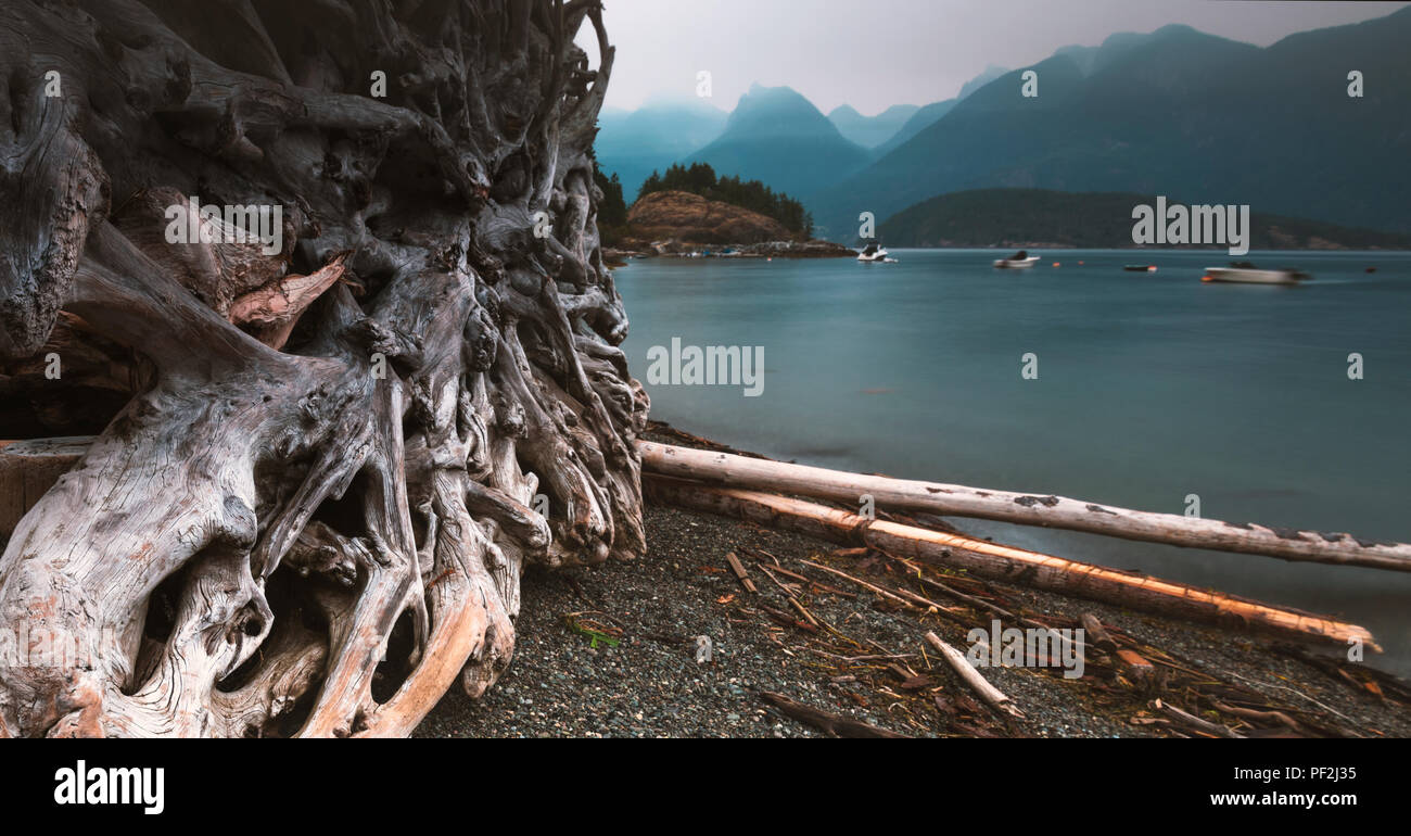 The beautiful scapes of Bowen Islands fabulous beaches landscapes ...