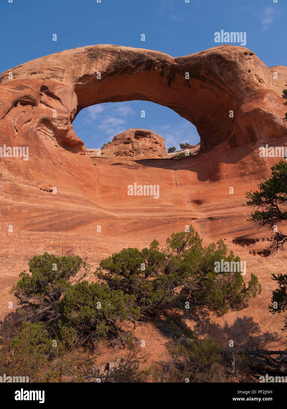 Rainbow Arch (aka Cedar Tree Arch), Rattlesnake Canyon, Black Ridge ...