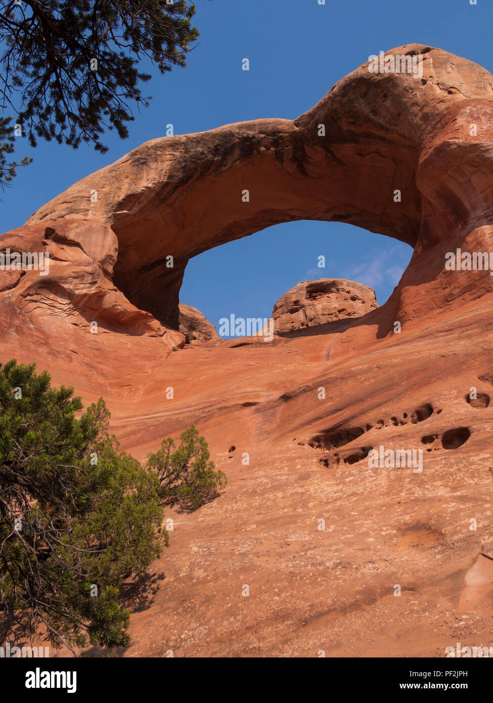 Rainbow Arch (aka Cedar Tree Arch), Rattlesnake Canyon, Black Ridge ...
